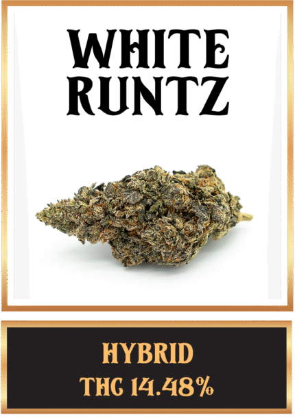 White Runtz Strain: Flavor, Effects & Benefits
